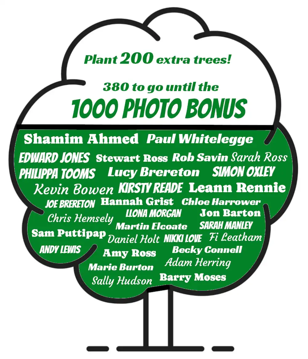 Skamper: Find the best runs wherever you are | Skamper